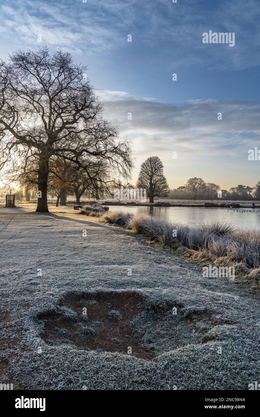 Beauty of frost hi-res stock photography and images - Alamy