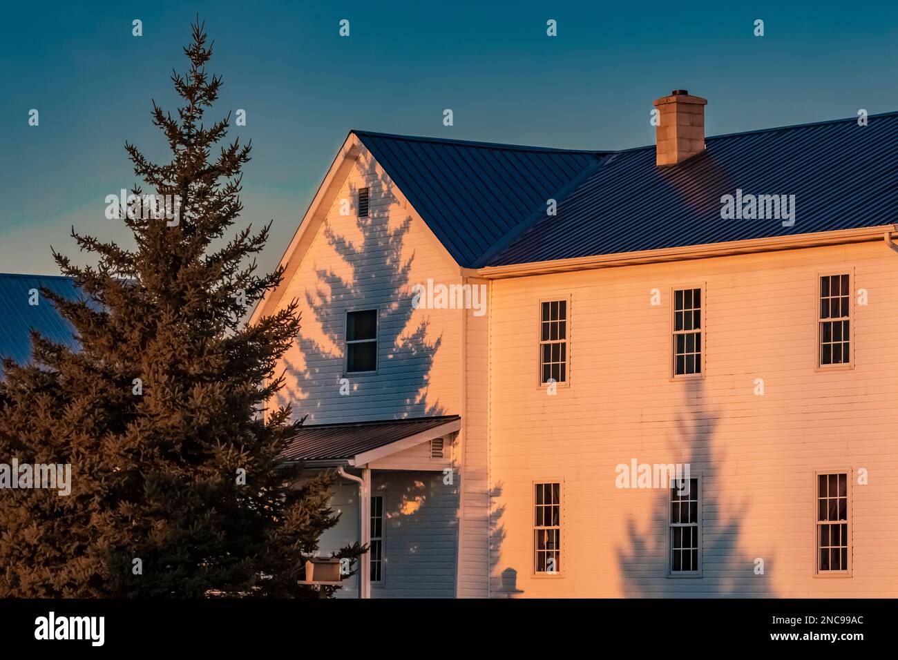 Amish farmhouse with spruce shadow in Mecosta County, Michigan, USA [No ...
