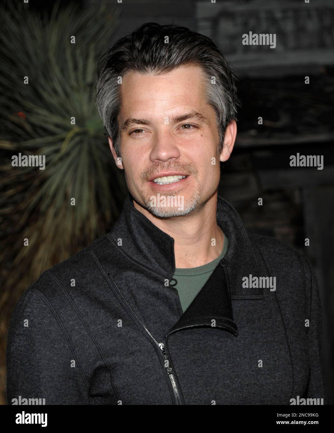 Actor Timothy Olyphant arrives at the premiere of the animated feature ...