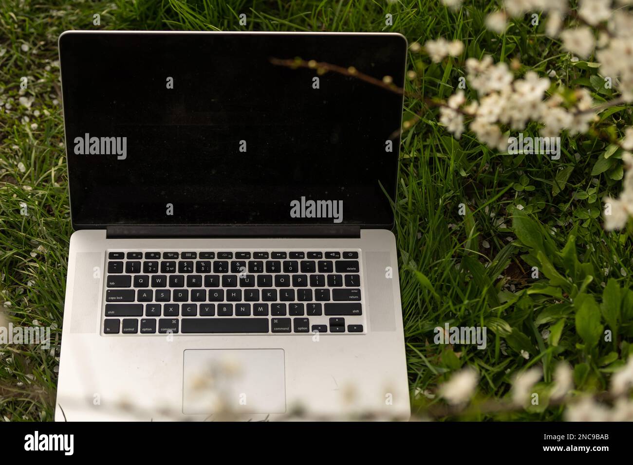 Working at home garden, laptop surrounded with green leafy potted ...