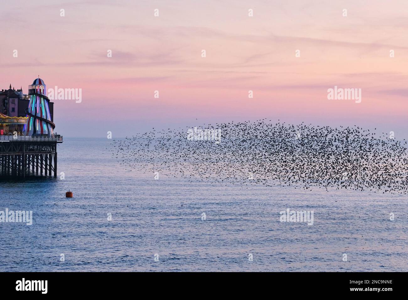 Brighton, UK. 14th February, 2023.A murmuration of starlings during ...