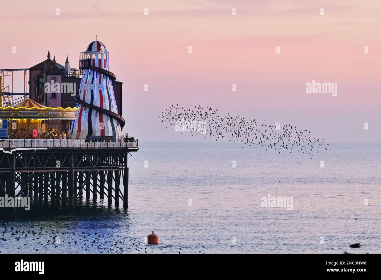 Brighton, UK. 14th February, 2023.A murmuration of starlings during ...