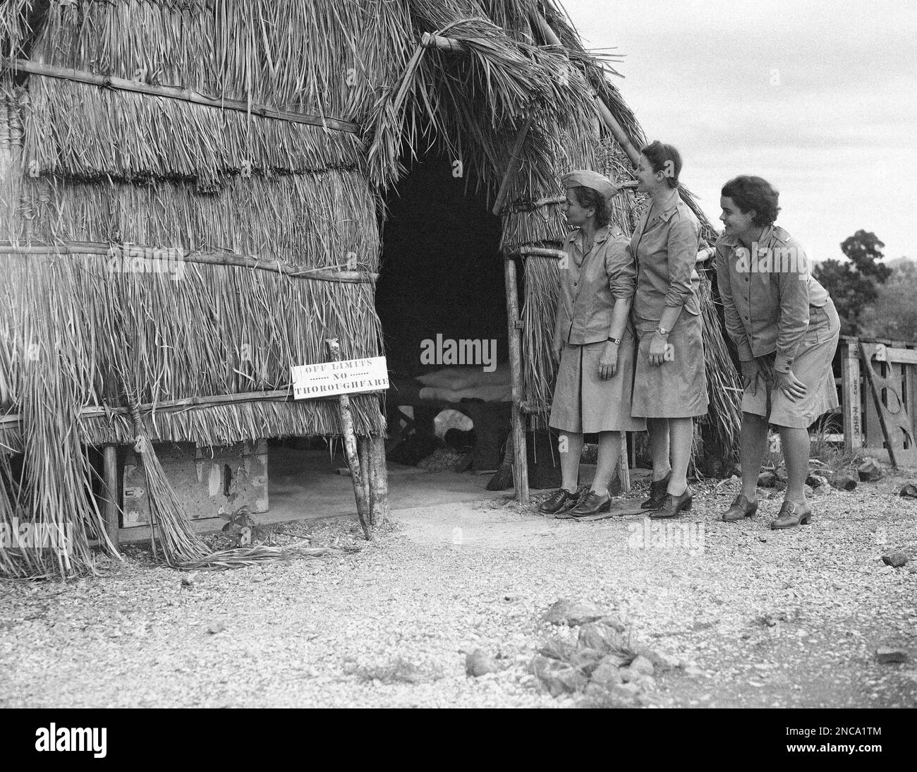 These three nurses of the U.S. Army, on duty in New Guinea, peek into a ...