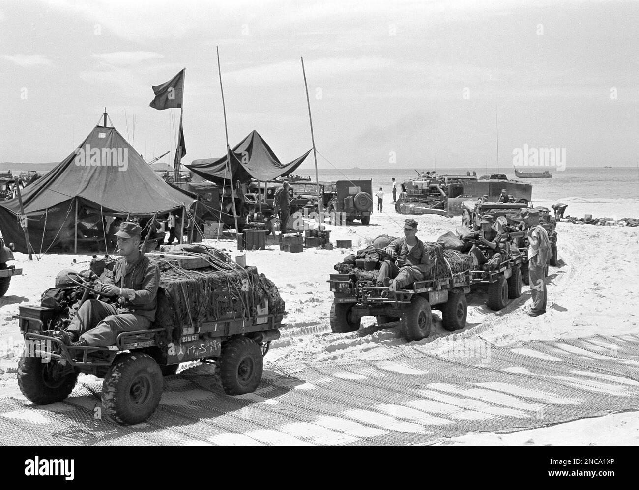 Marines and mules pass by temporary quarters for some of the three ...