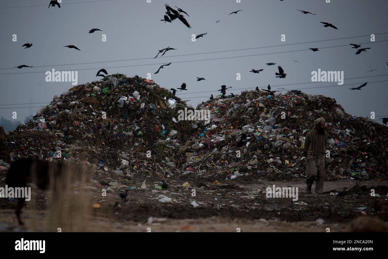 A man collects recyclable goods to earn money for his family, at a ...