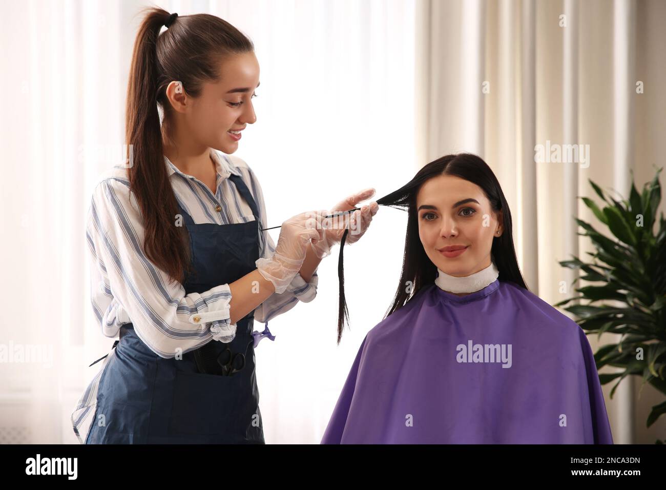 Woman dying hair with gloves hi-res stock photography and images - Alamy