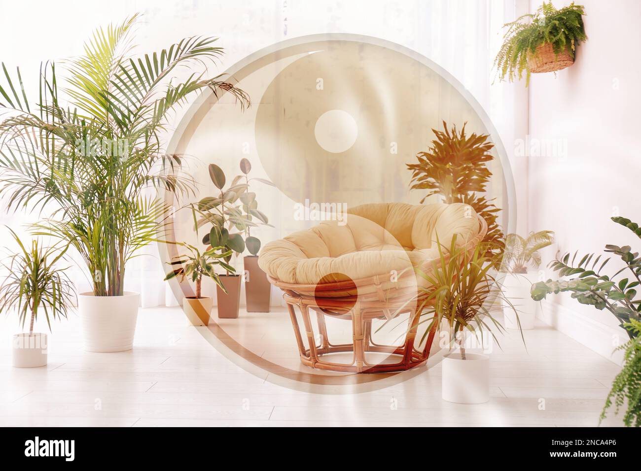 Stylish room interior with beautiful plants and Yin Yang symbol. Feng ...