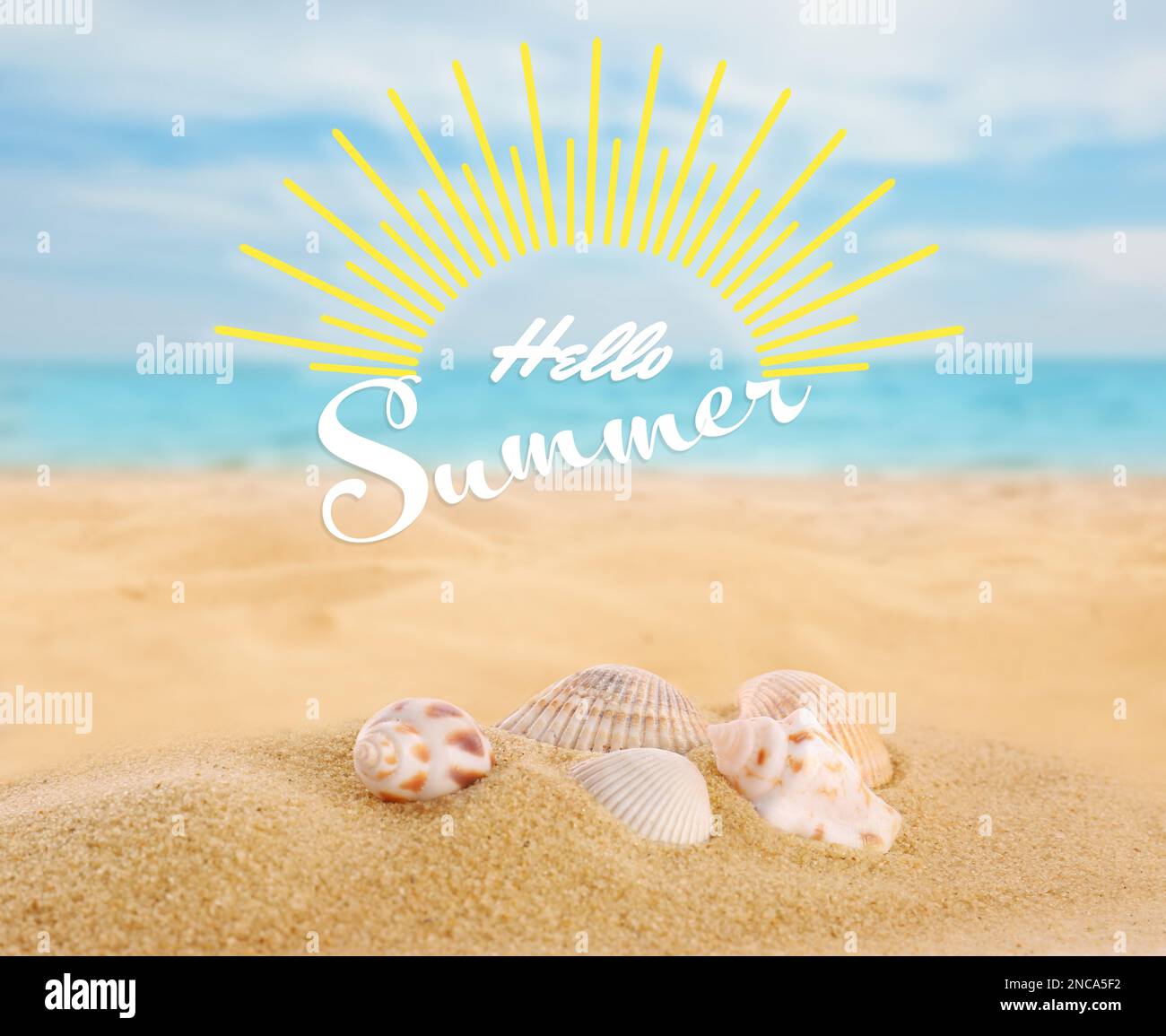 Hello Summer. Beautiful sea shells on sandy beach Stock Photo - Alamy