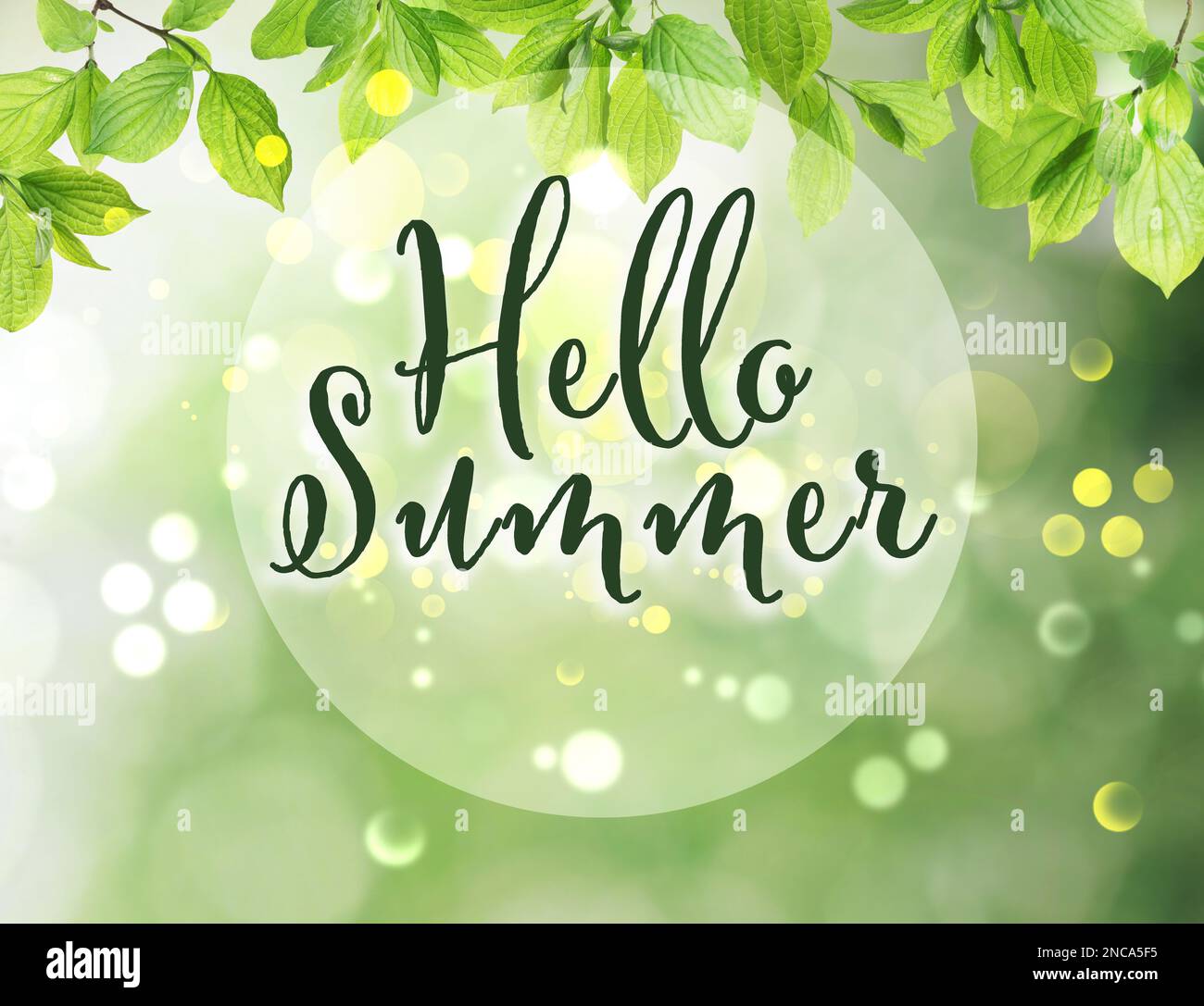 Hello Summer. Beautiful green leaves on blurred background Stock Photo ...