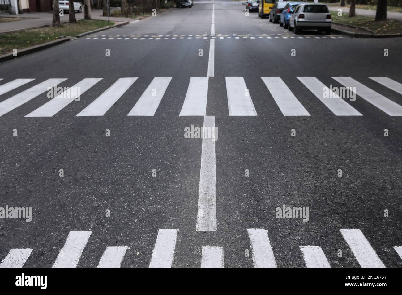 White pedestrian crossing on modern city street Stock Photo - Alamy