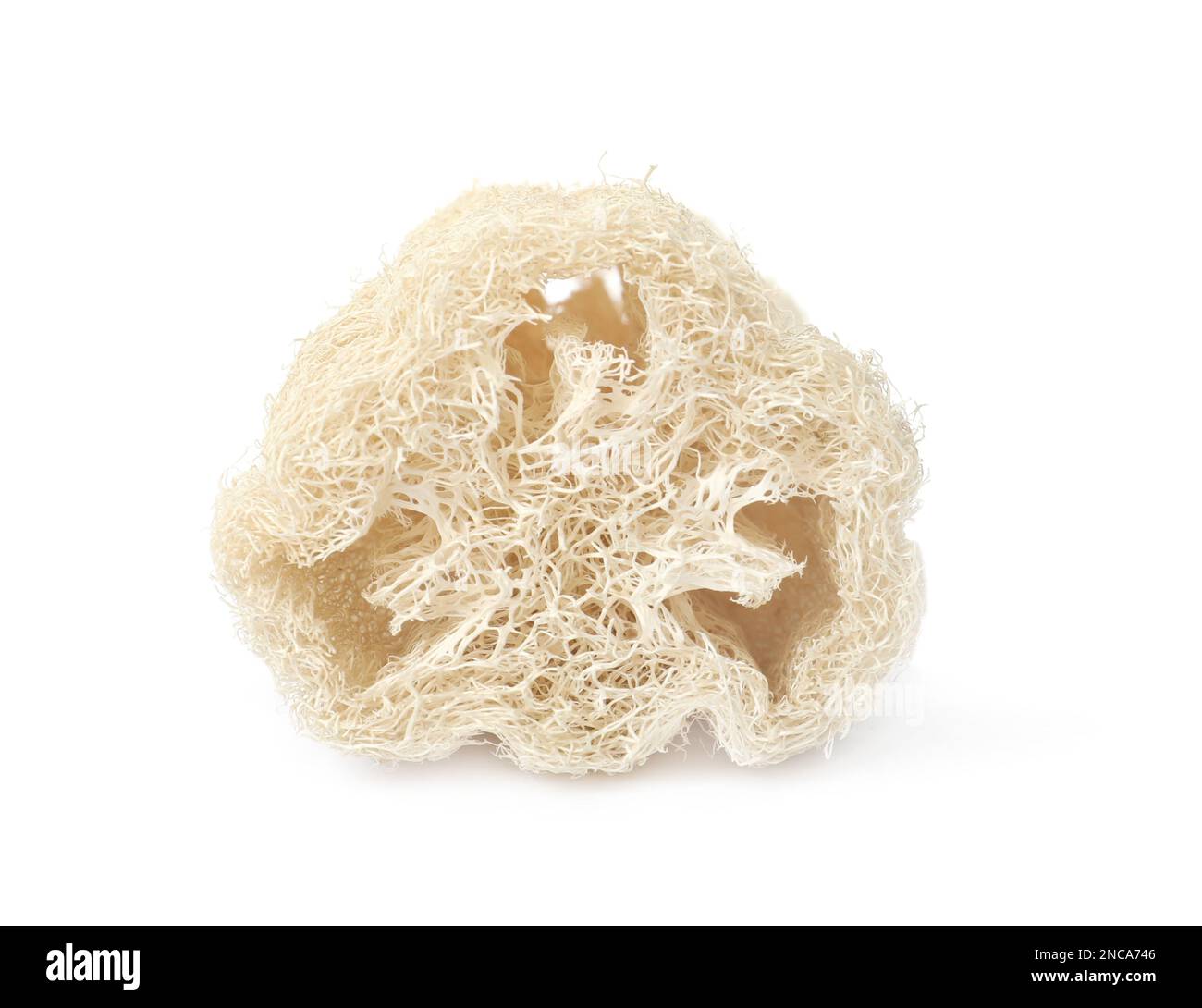 Natural shower loofah sponge isolated on white Stock Photo - Alamy