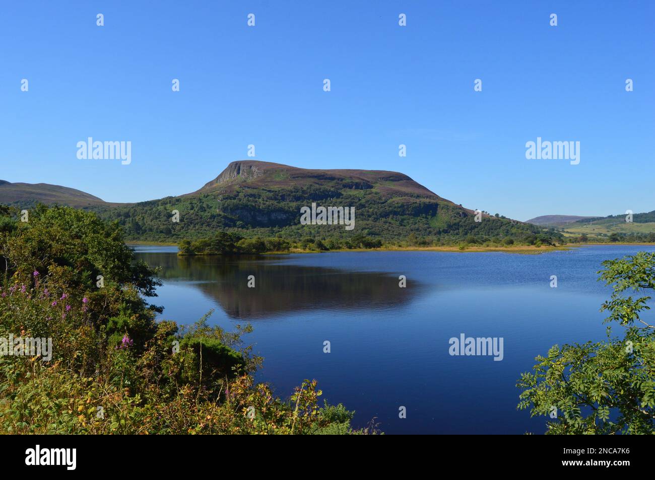 A daytime view of a lake in a countryside landscape Stock Photo - Alamy