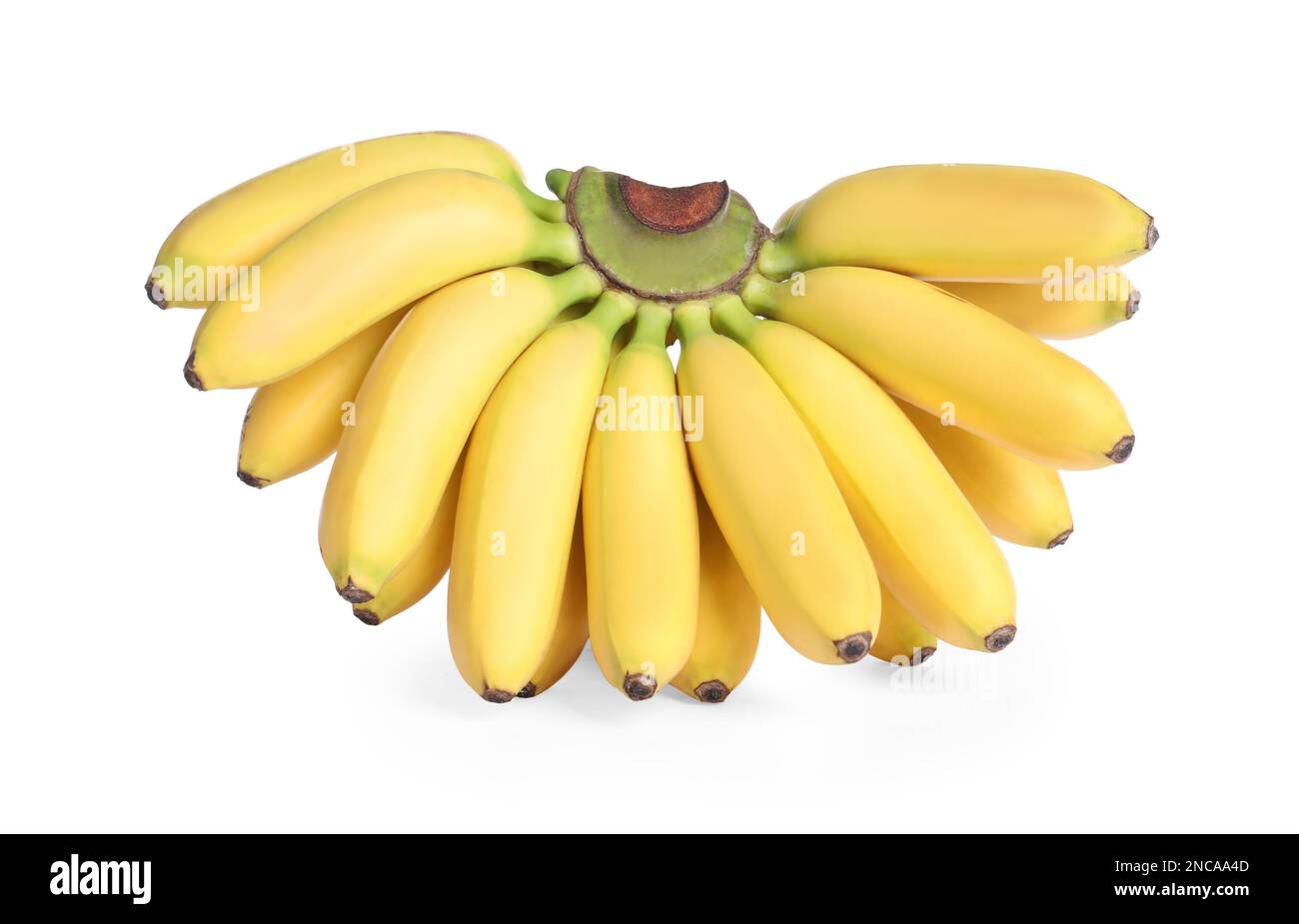Bunch of ripe mini bananas on white background. Exotic fruit Stock ...