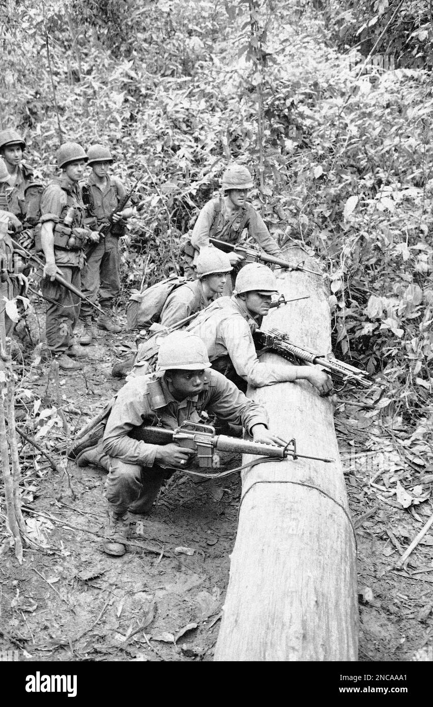 Men of the U.S. 101st airborne brigade crouch behind a fallen tree ...