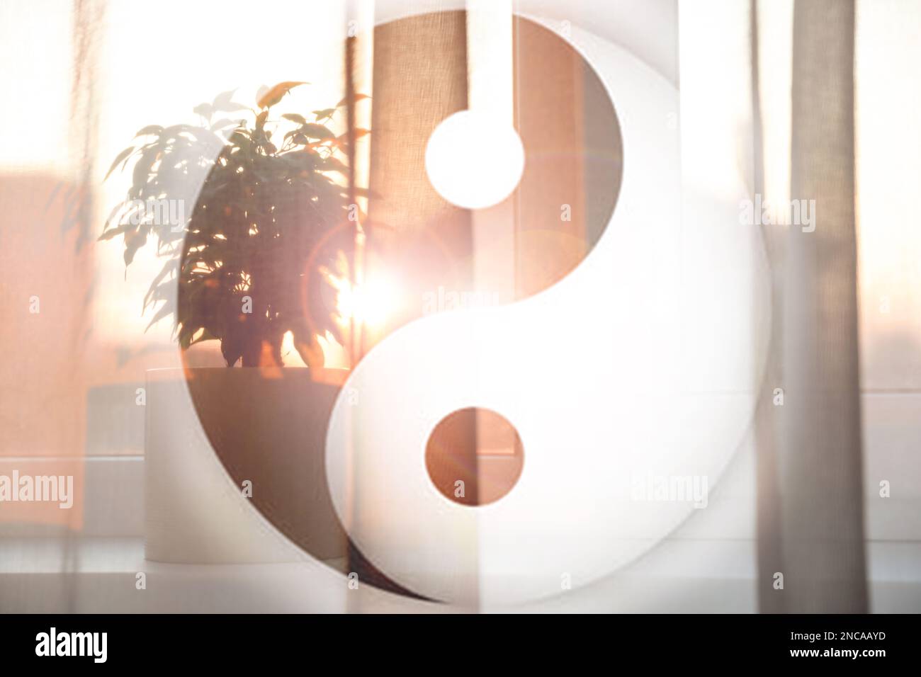 Plant on window sill behind curtain at home and and Yin Yang symbol ...