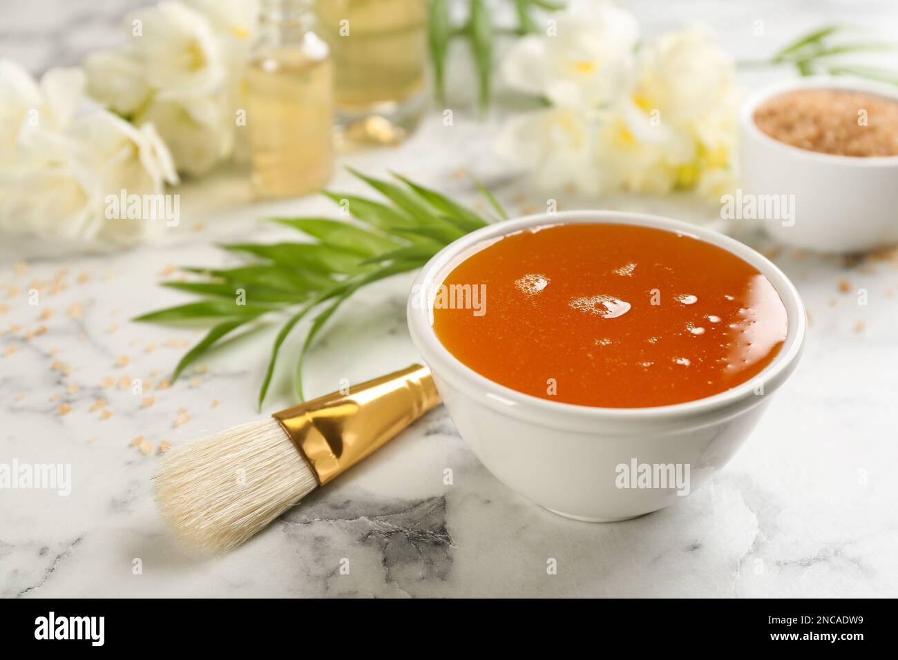 Composition with cosmetic product for spa body wraps on white marble ...