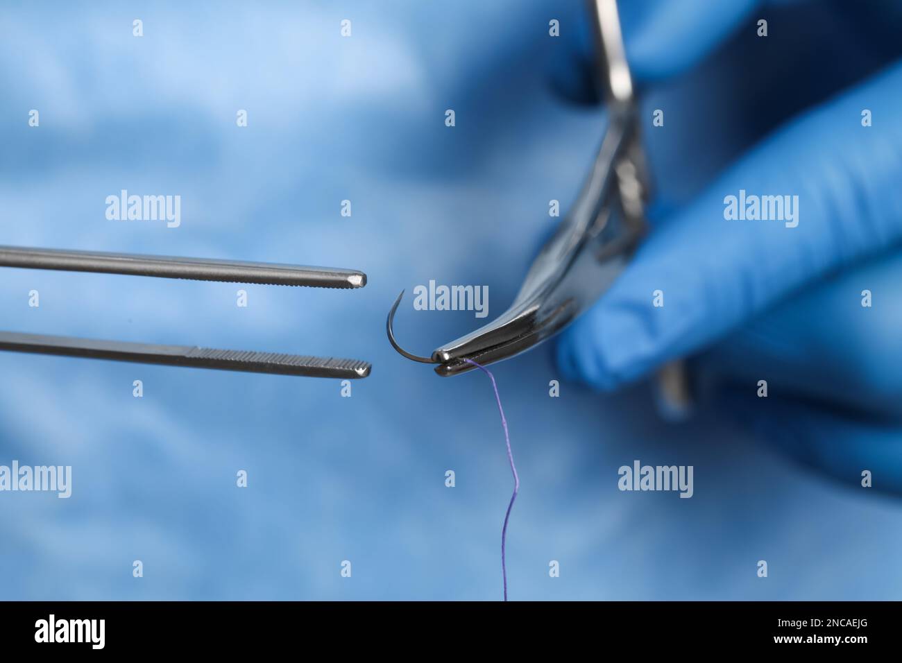 Professional surgeon holding forceps with suture thread, closeup ...