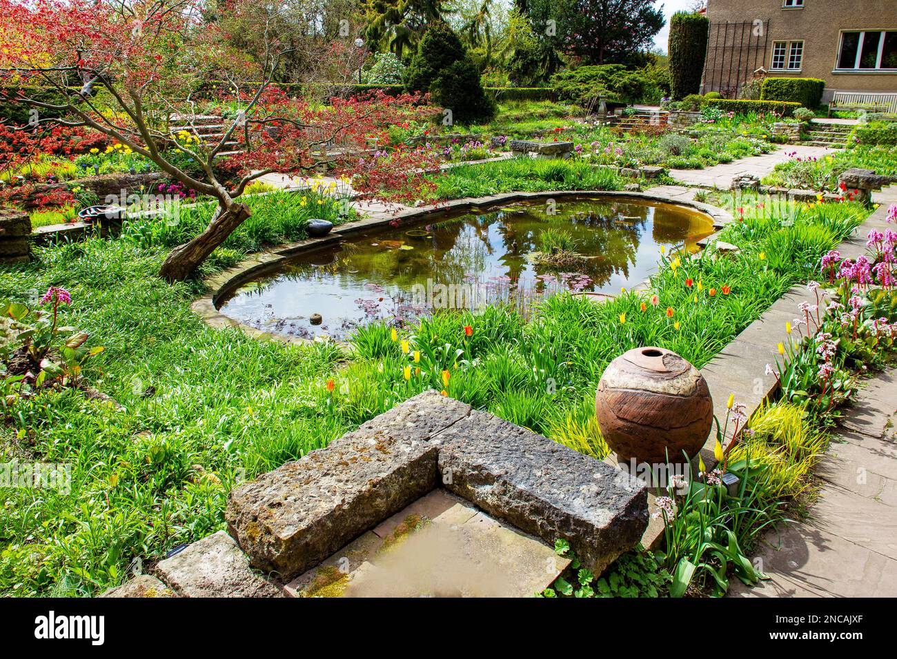 Small pond and garden next to Karl Foerster house (1870-1970) - famous ...