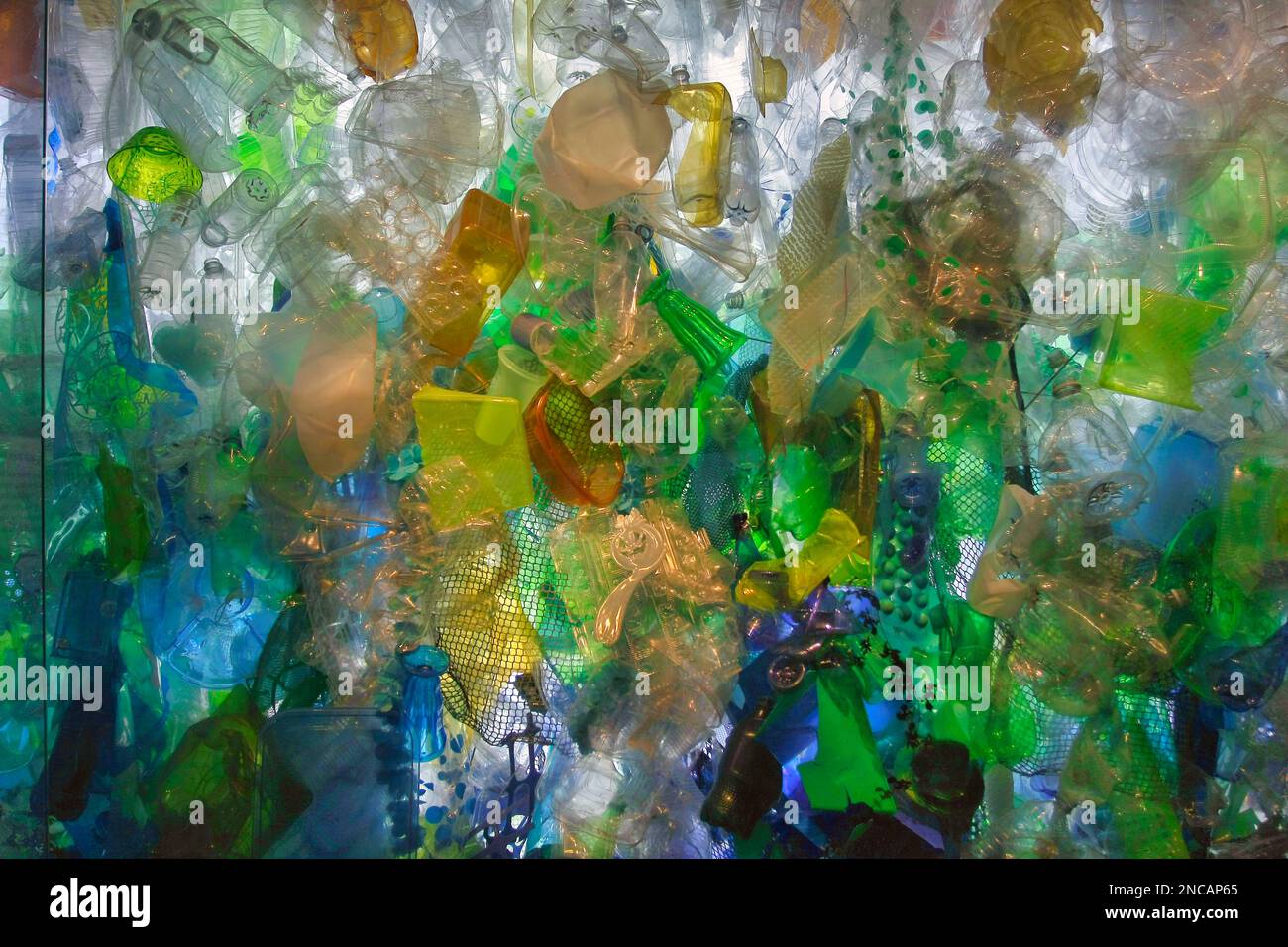 Cannery Row, Monterey, CA, USA. 23rd January, 2023 Life at the Monterey ...