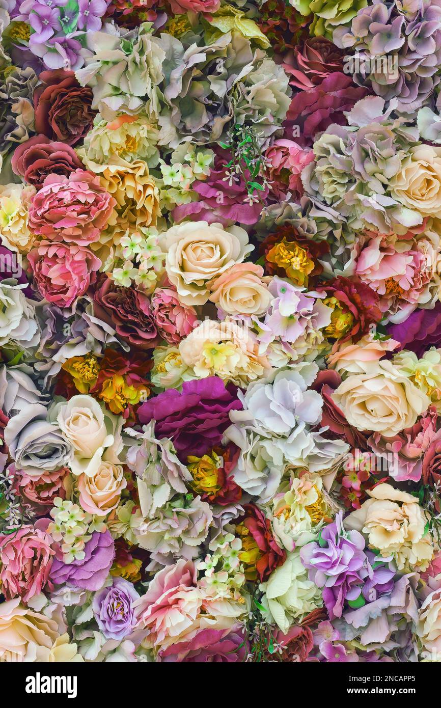 Romantic beautiful flower background. Wall of roses for wedding scenes ...