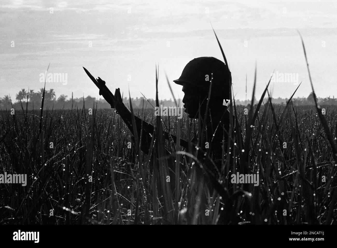 An American infantryman, his head and bayonet silhouetted against the ...