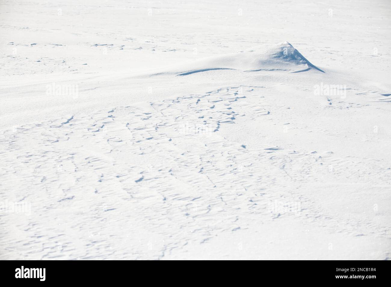 Antarctica, Amundsen Sea, Siple Island. Close up of wind blown sea ice ...