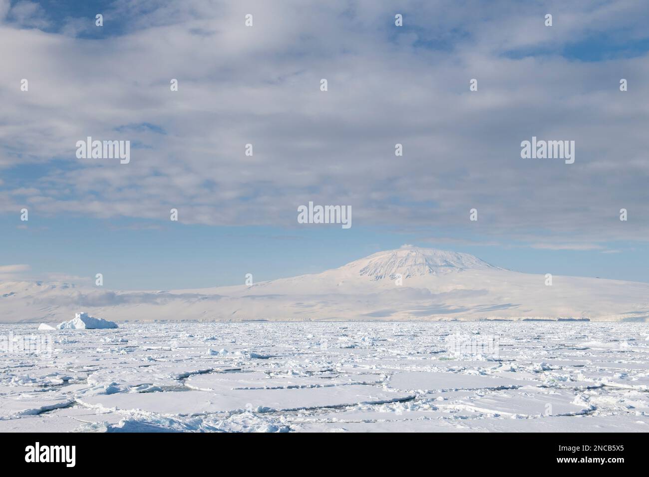 Antarctica, Ross Island, Ross Sea. Pack ice in front of Mount Erebus ...