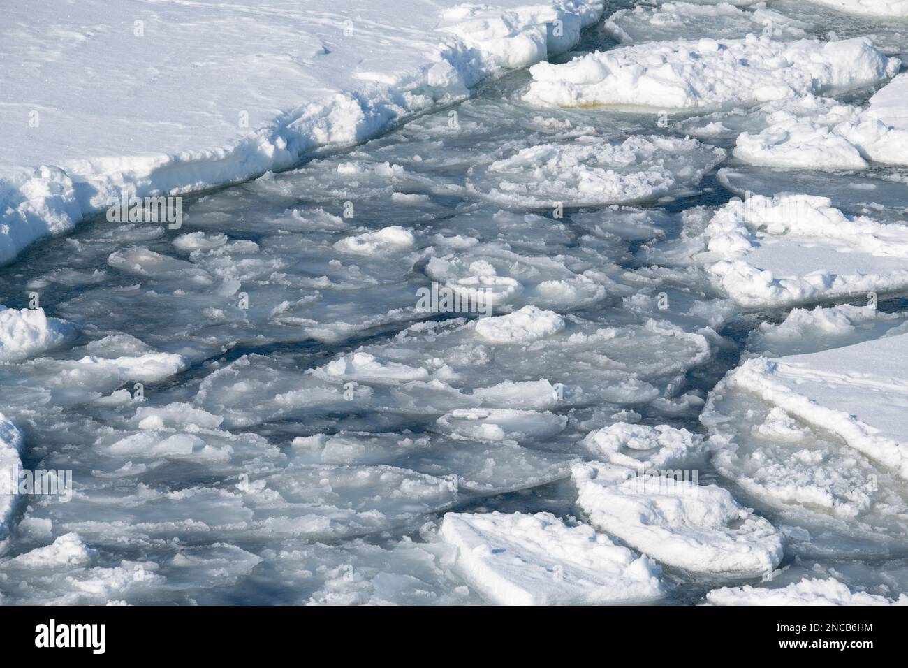 Antarctica, Ross Sea, Ross Island. Pancake ice Stock Photo - Alamy