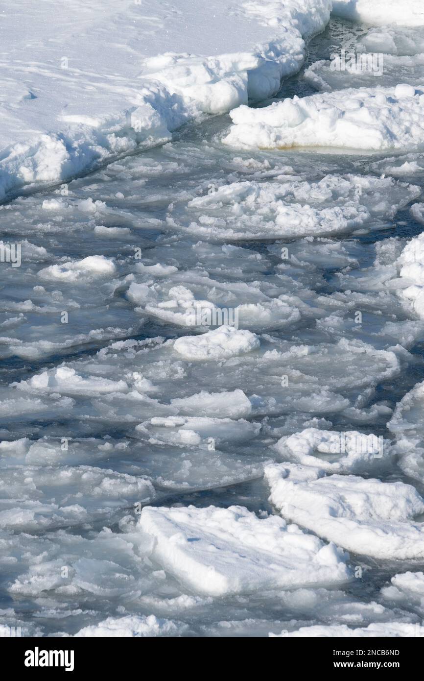 Antarctica, Ross Sea, Ross Island. Pancake ice Stock Photo - Alamy