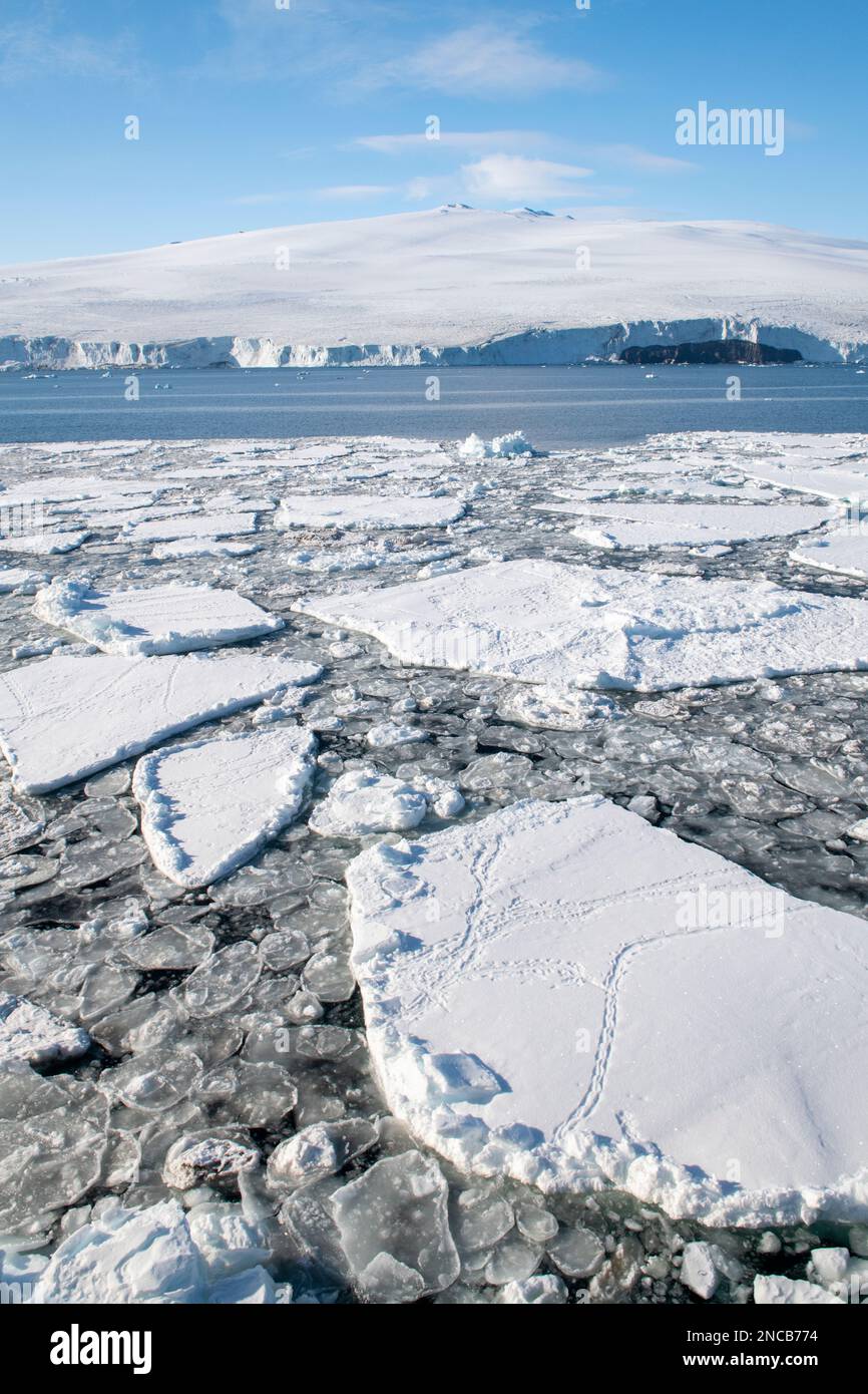 Antarctica, Ross Sea, Ross Island. Mix of icebergs and pancake ice off ...