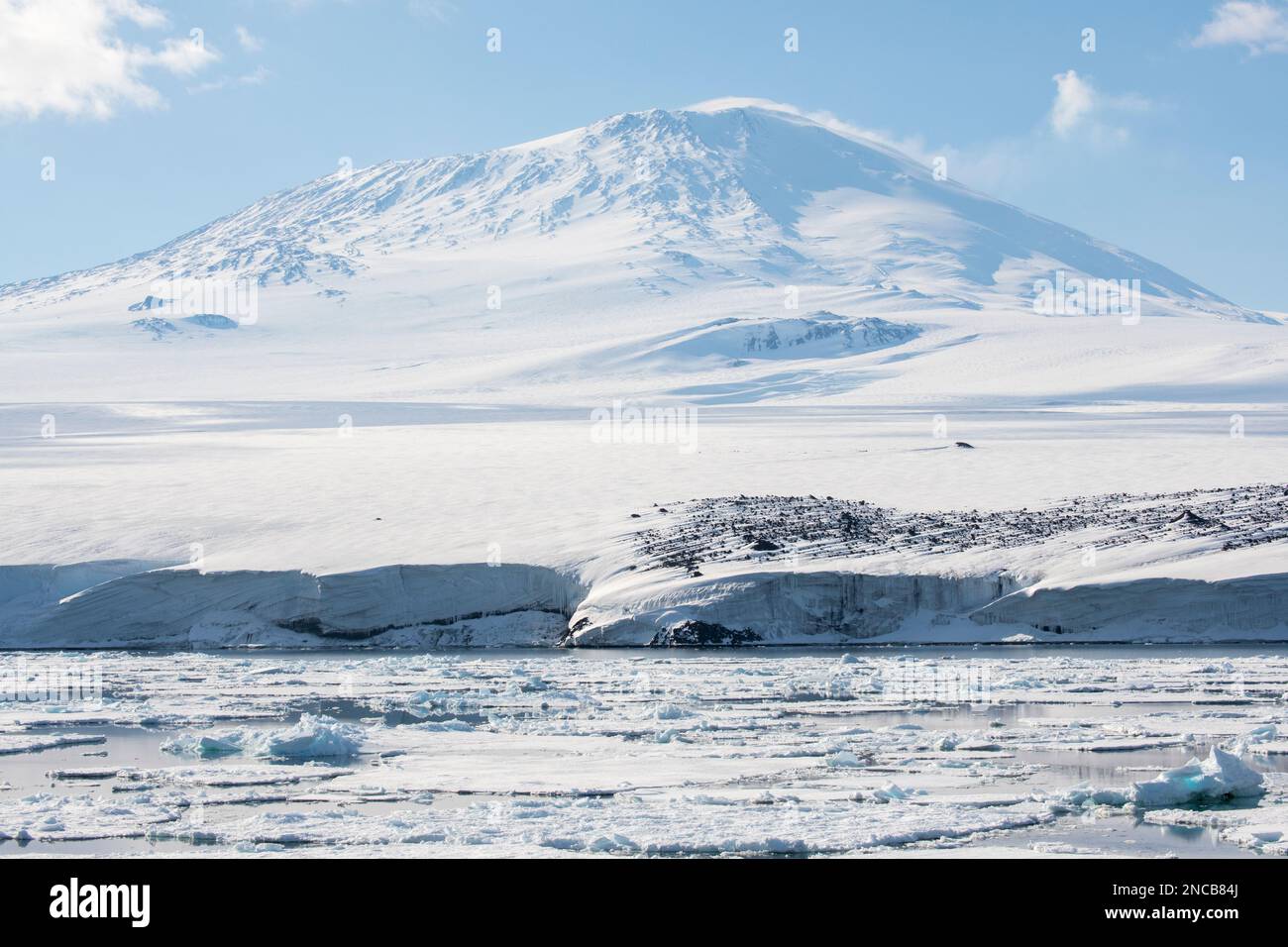 Antarctica, Ross Island. Ross Sea view of Mount Erebus, classic active ...