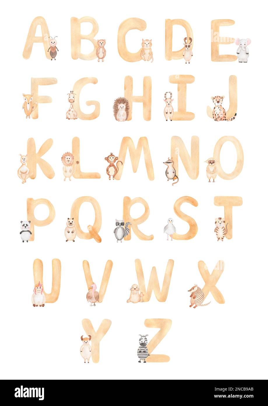 Watercolor hand painted english animal alphabet. Modern trendy ...