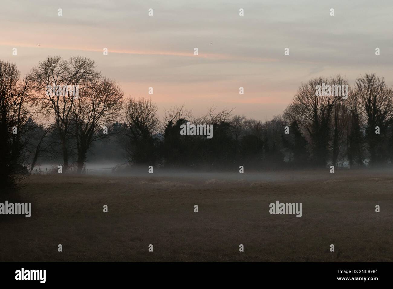 Denham, UK. 14th February, 2023. Ground fog is pictured lying above a ...