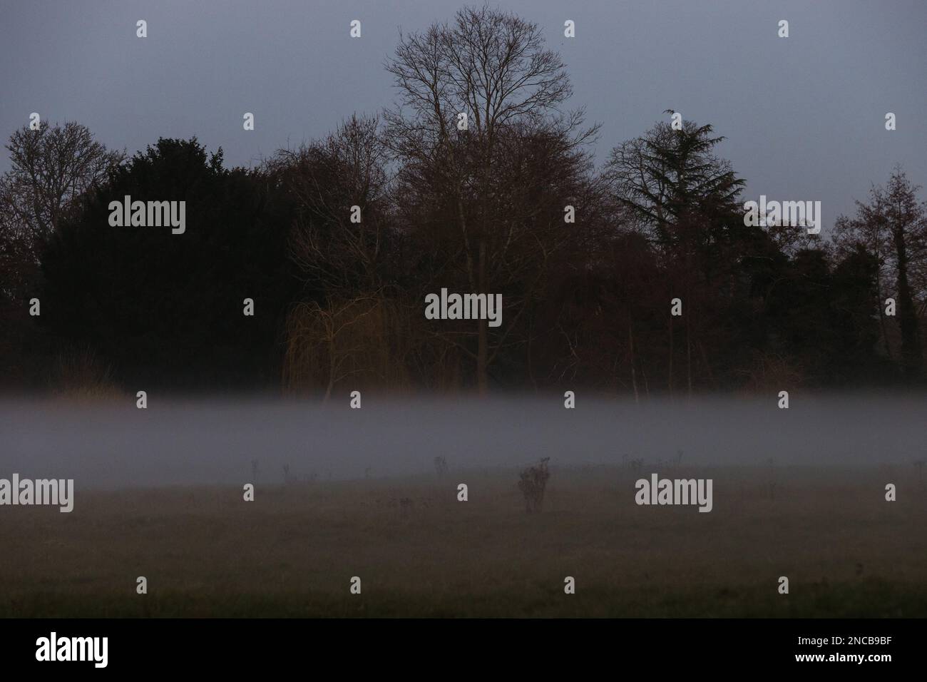 Denham, UK. 14th February, 2023. Ground fog is pictured lying above a ...
