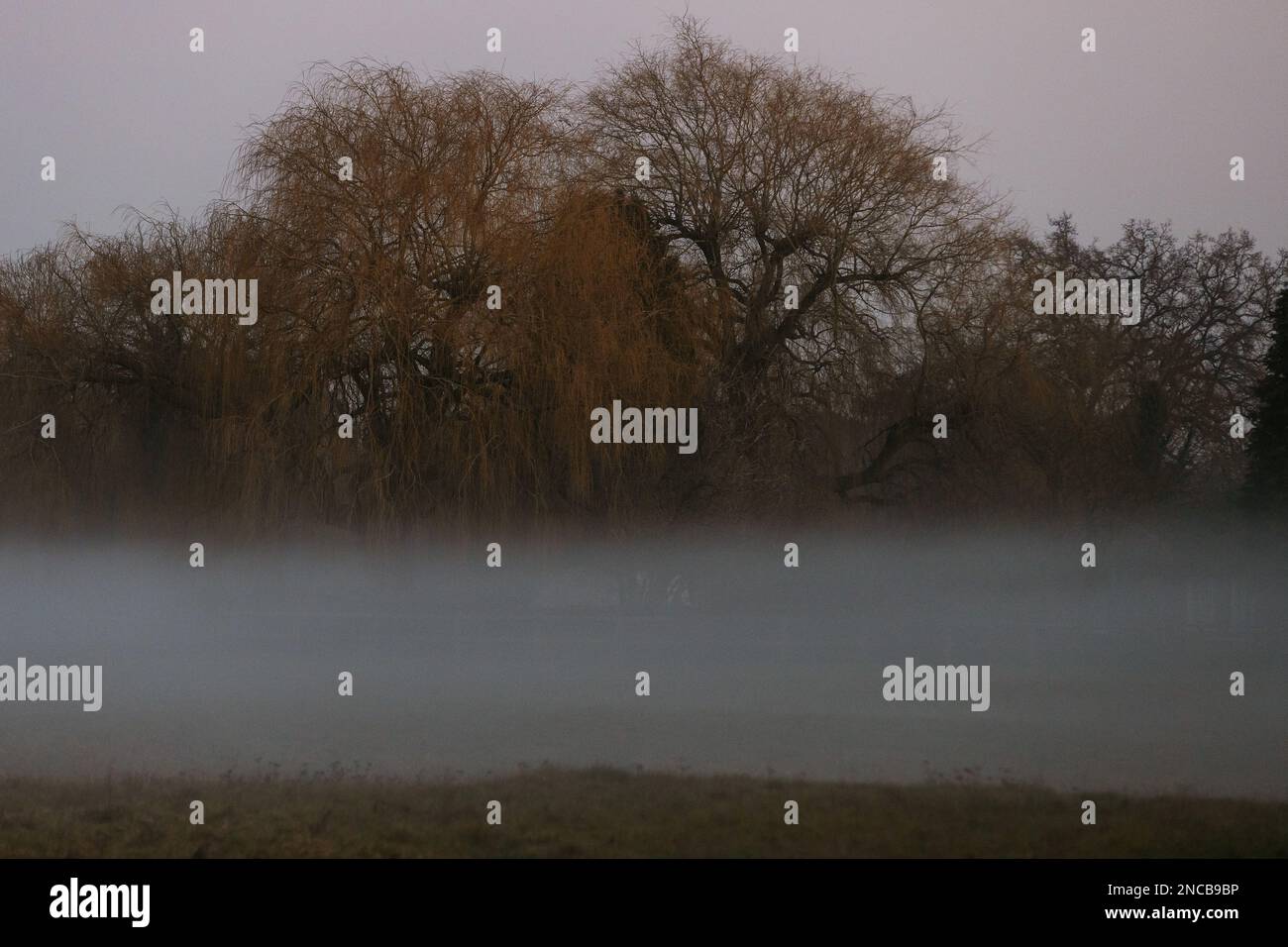 Denham, UK. 14th February, 2023. Ground fog is pictured lying above a ...