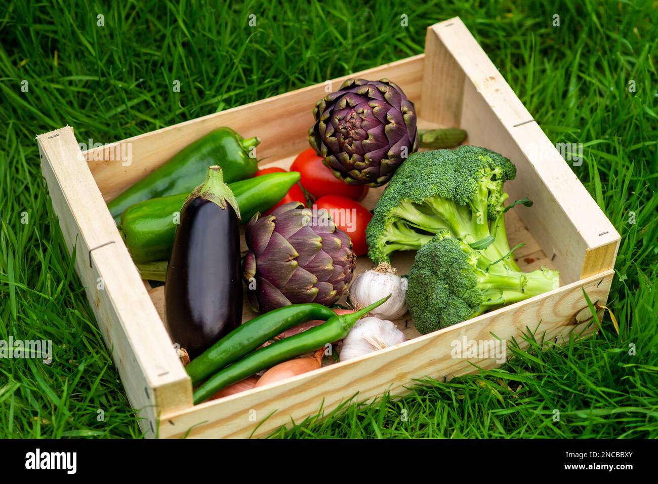 Various raw vegetables - eggplant, artichokes, peppers, tomatoes in a ...