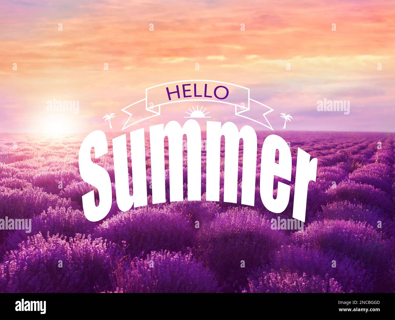 Hello summer beautiful view hi-res stock photography and images - Alamy