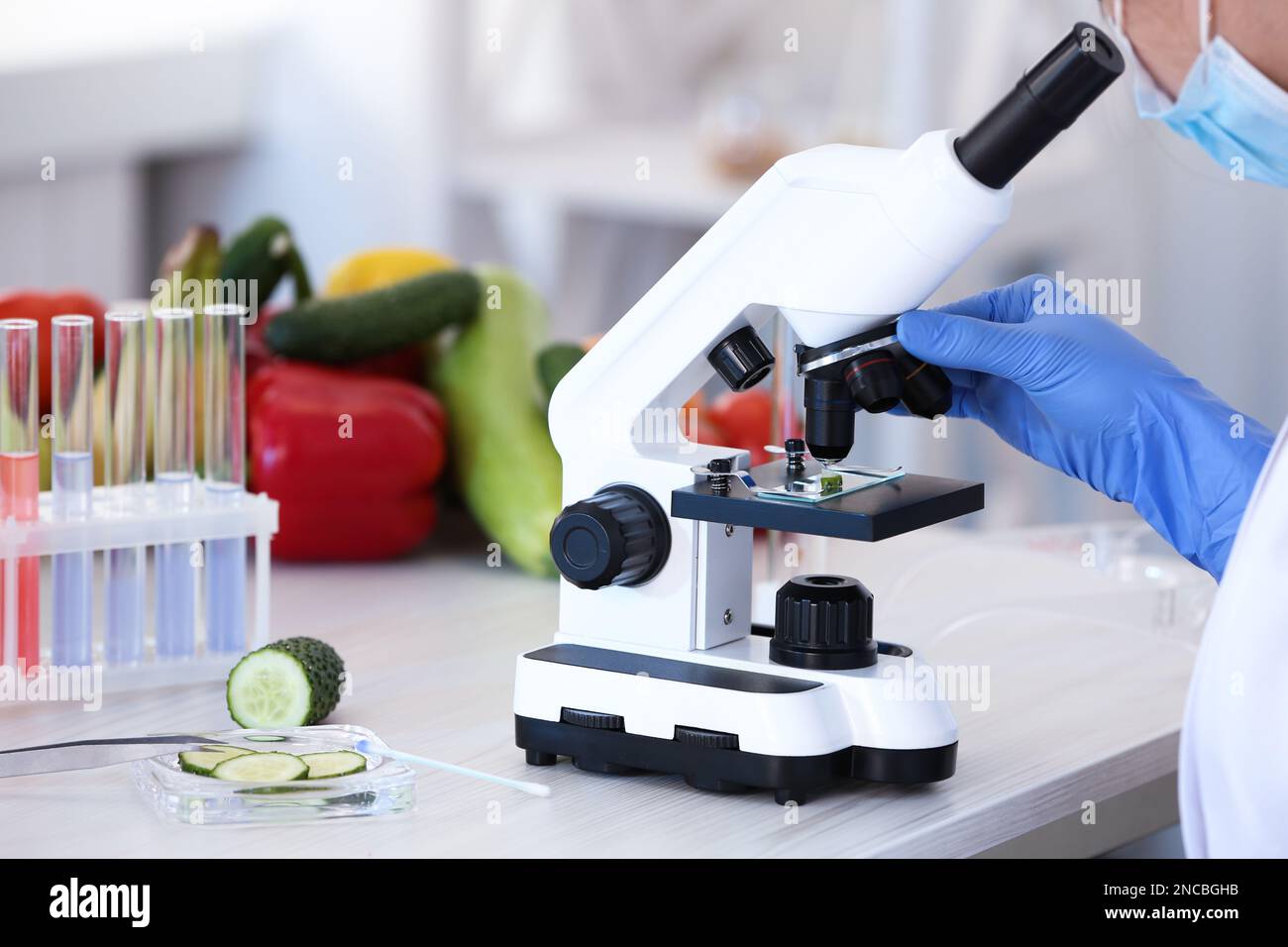 Scientist inspecting cucumber with microscope in laboratory, closeup ...