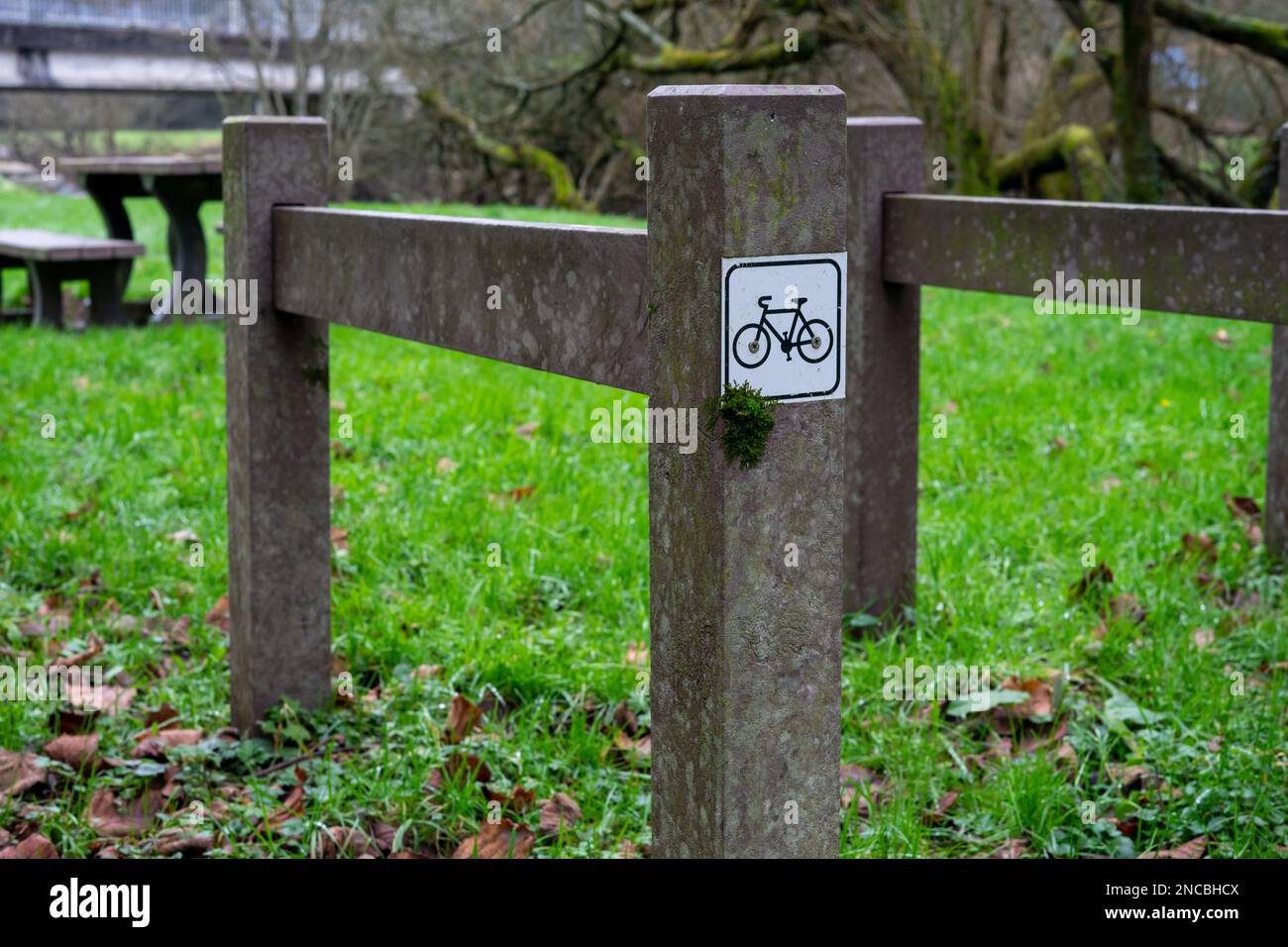 Parking lot for bicycles on green grass. Facilities for public bicycle ...