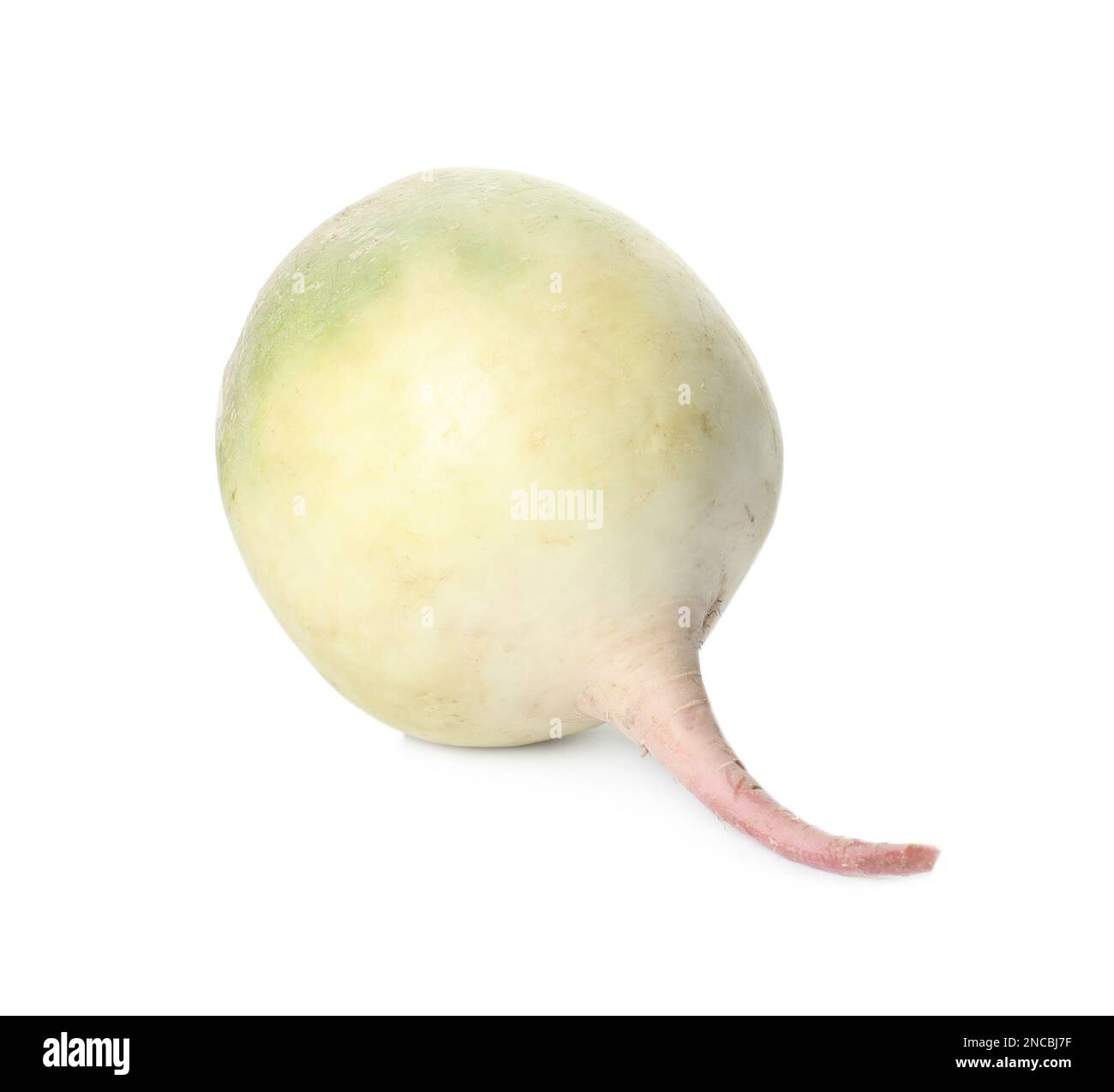 Whole fresh ripe turnip on white background Stock Photo - Alamy
