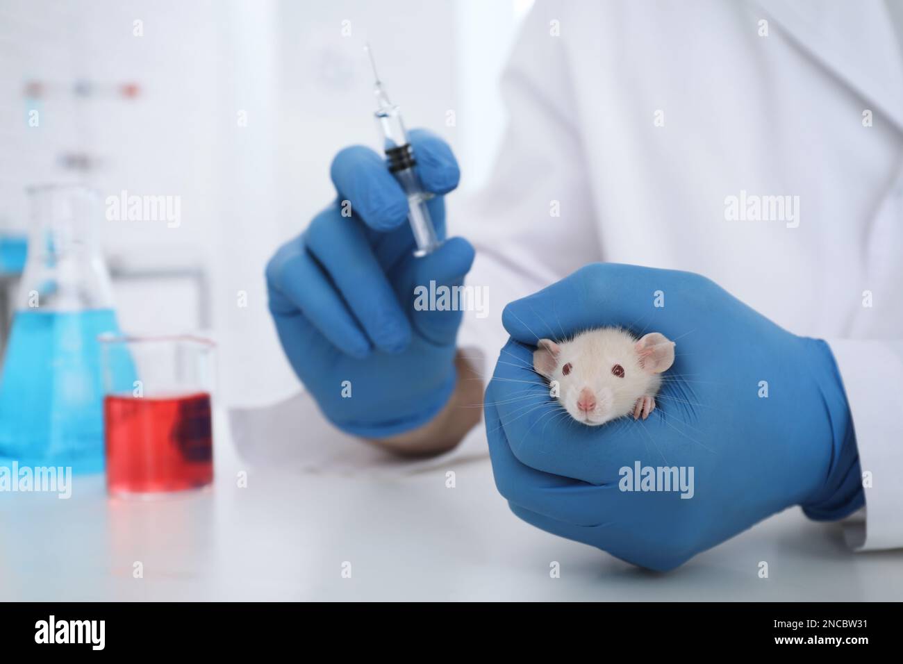 Lab rat with shot hi-res stock photography and images - Alamy