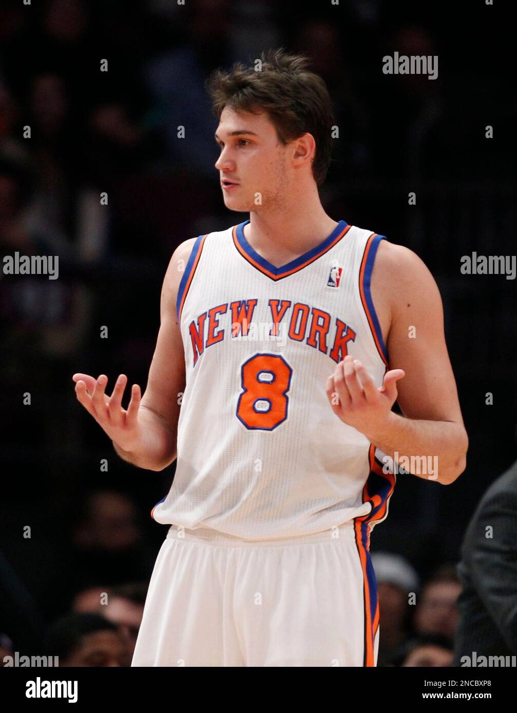 Danilo Gallinari Model