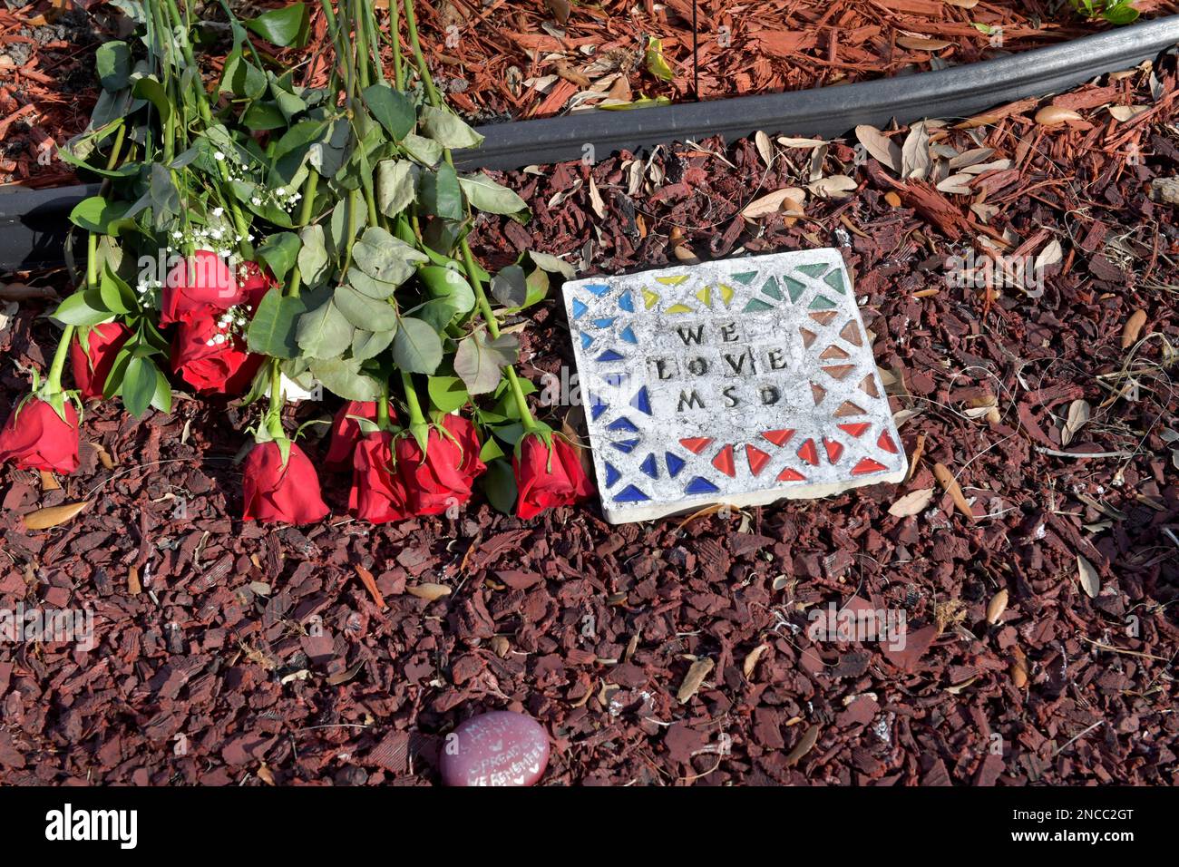 PARKLAND, FL - FEBRUARY 14: Parkland Victims Remembered At MSD High ...