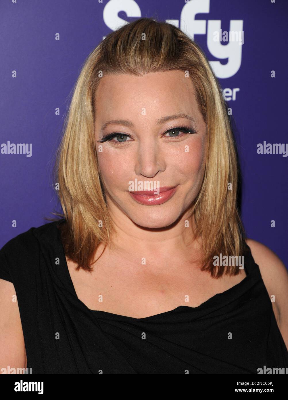 Taylor Dayne attends the SYFY premiere of "Mega Python vs. Gatoroid" at ...