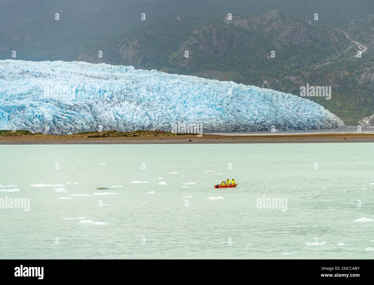 Crew in small power boat collecting iceberg by Amalia Glacier in ...