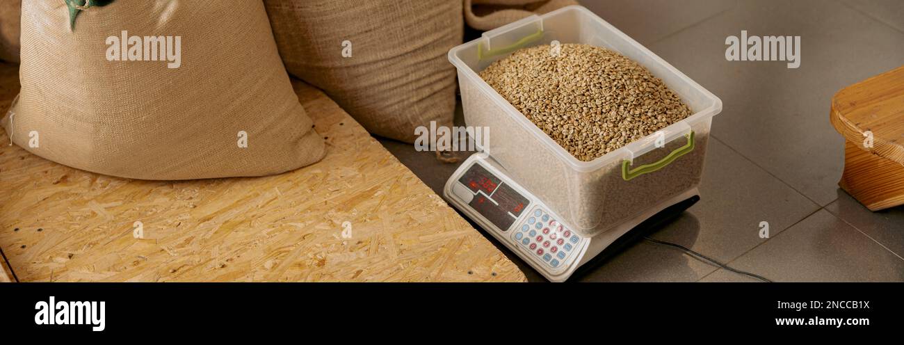 Box of raw coffee beans stands on a scale ready for roasting in coffee ...