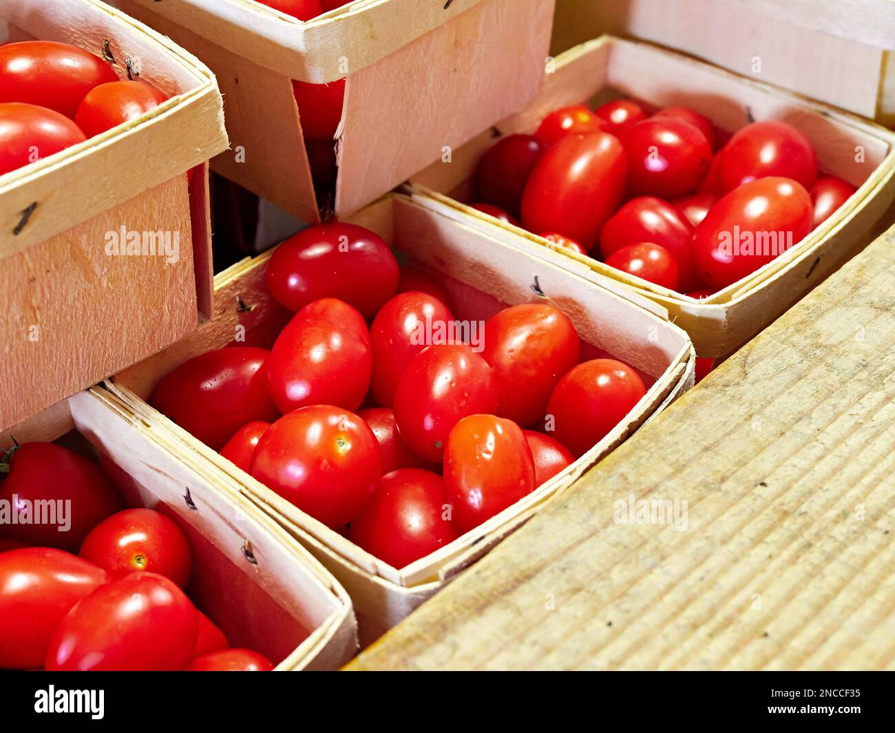 Farm Fresh Tomatoes