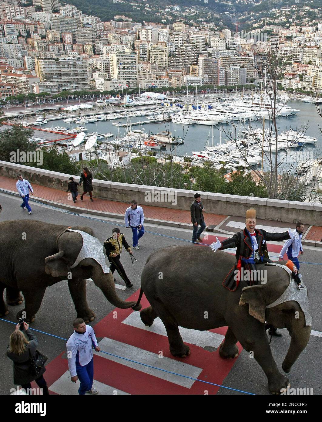 Elephants parade in Monaco near the venue of the 35th Monte-Carlo ...