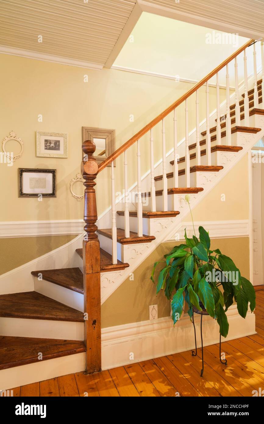 Stained maple wood staircase with white painted carved detail on ...