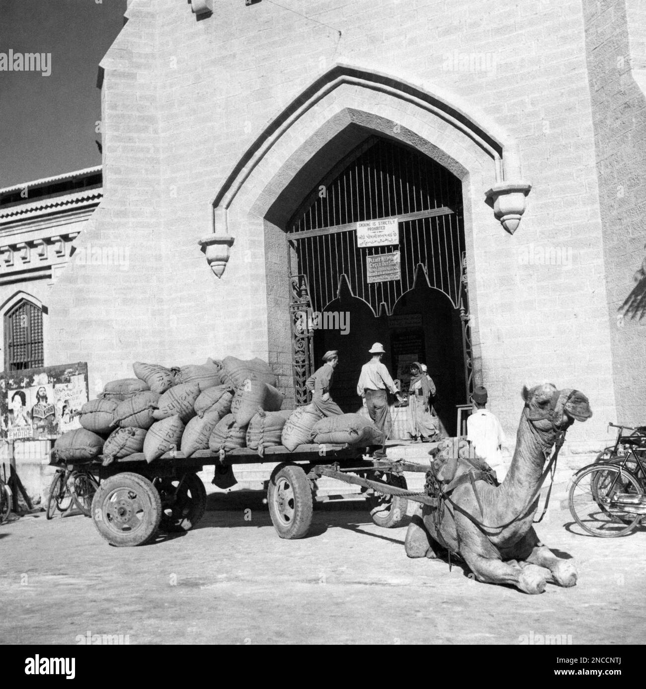 Some American would-be motorist may envy camel carts in India with ...